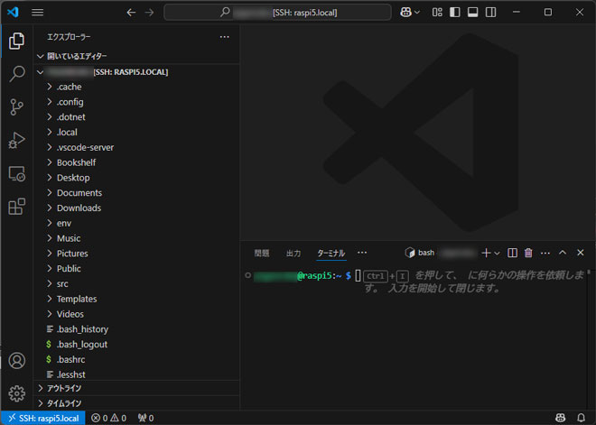 【Raspberry Pi 】リモートで開発する環境を整えよう！（VNCとVScodeの設定）│KARAKURI MUSHA